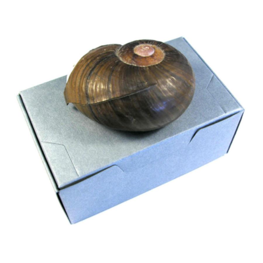 Artifact + Museum Boxes – Conservation Supplies