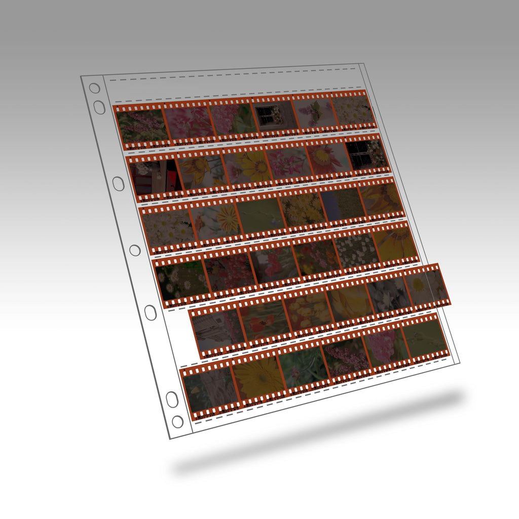 Polyethylene 35mm Negative Page 6 Strips – Conservation Supplies