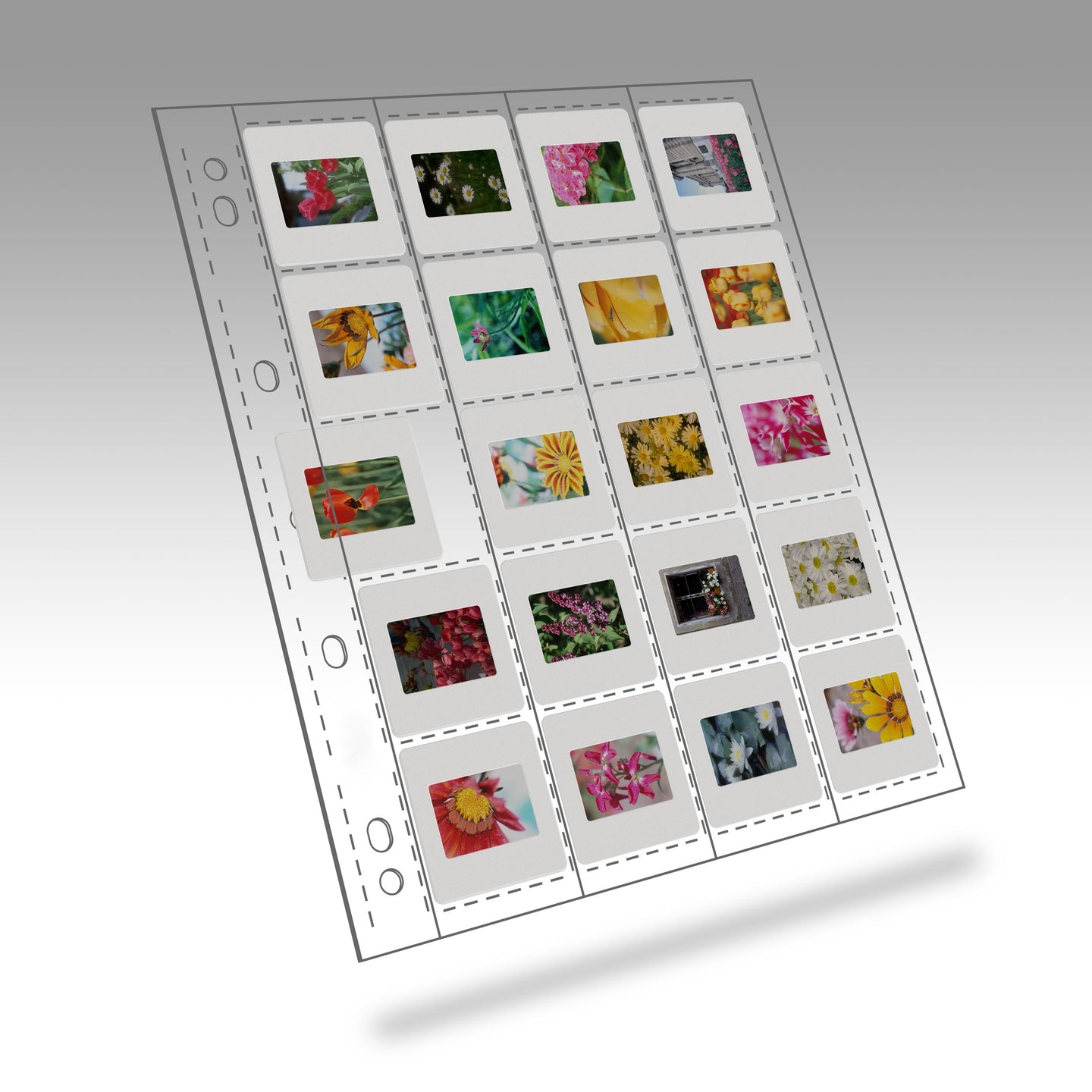 Caring for Negatives & Slides – Conservation Supplies