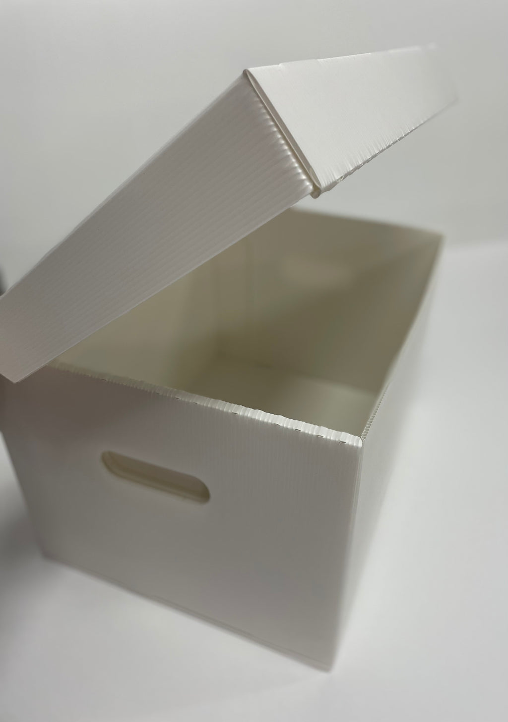 Polypropylene File Box – Conservation Supplies