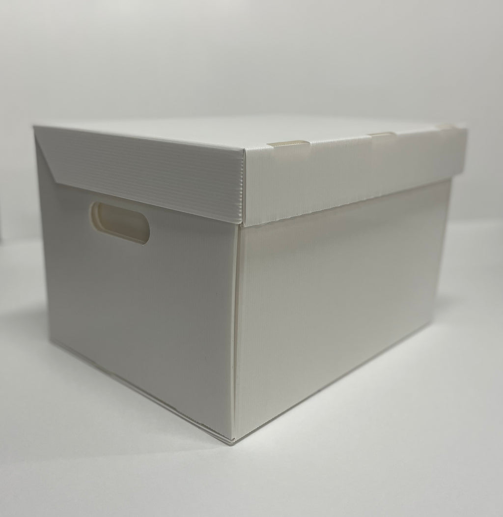 Polypropylene File Box – Conservation Supplies