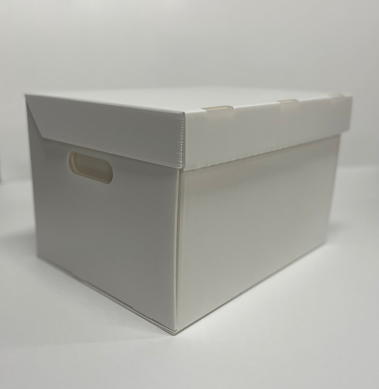 Polypropylene File Box – Conservation Supplies